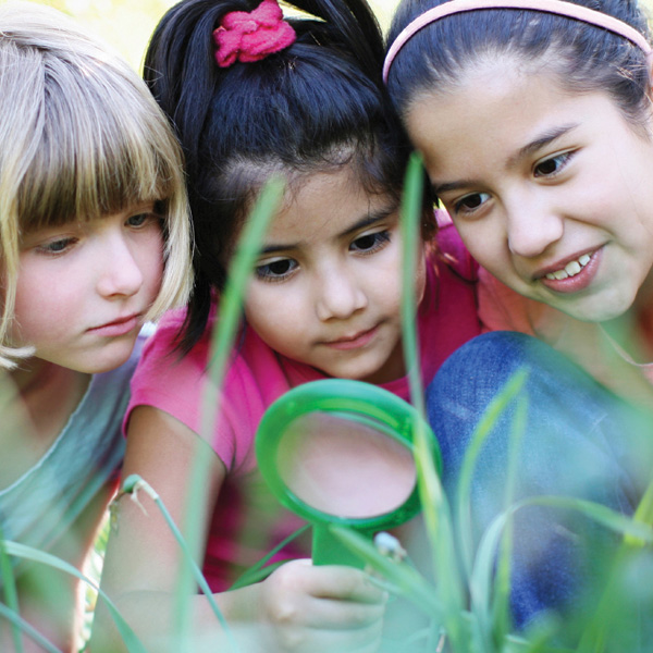 Dynamic Learning Group - Dynamic Learning Group - Professional Learning ...